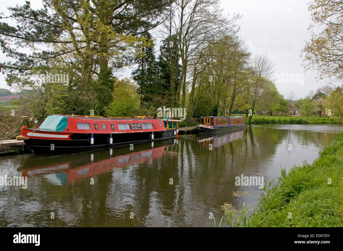 The Grand Western Canal near Halberton in Devon Stock Photo - Alamy