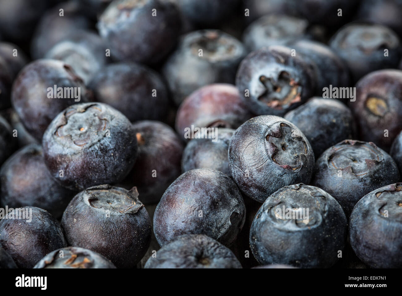Fresh Berries - Blueberries background closeup Stock Photo - Alamy
