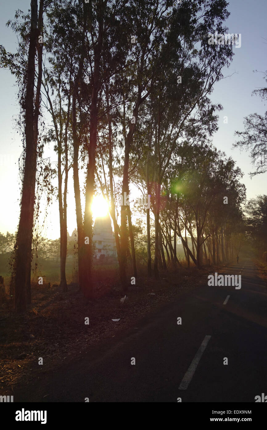 Tree lined sunrise hi-res stock photography and images - Alamy