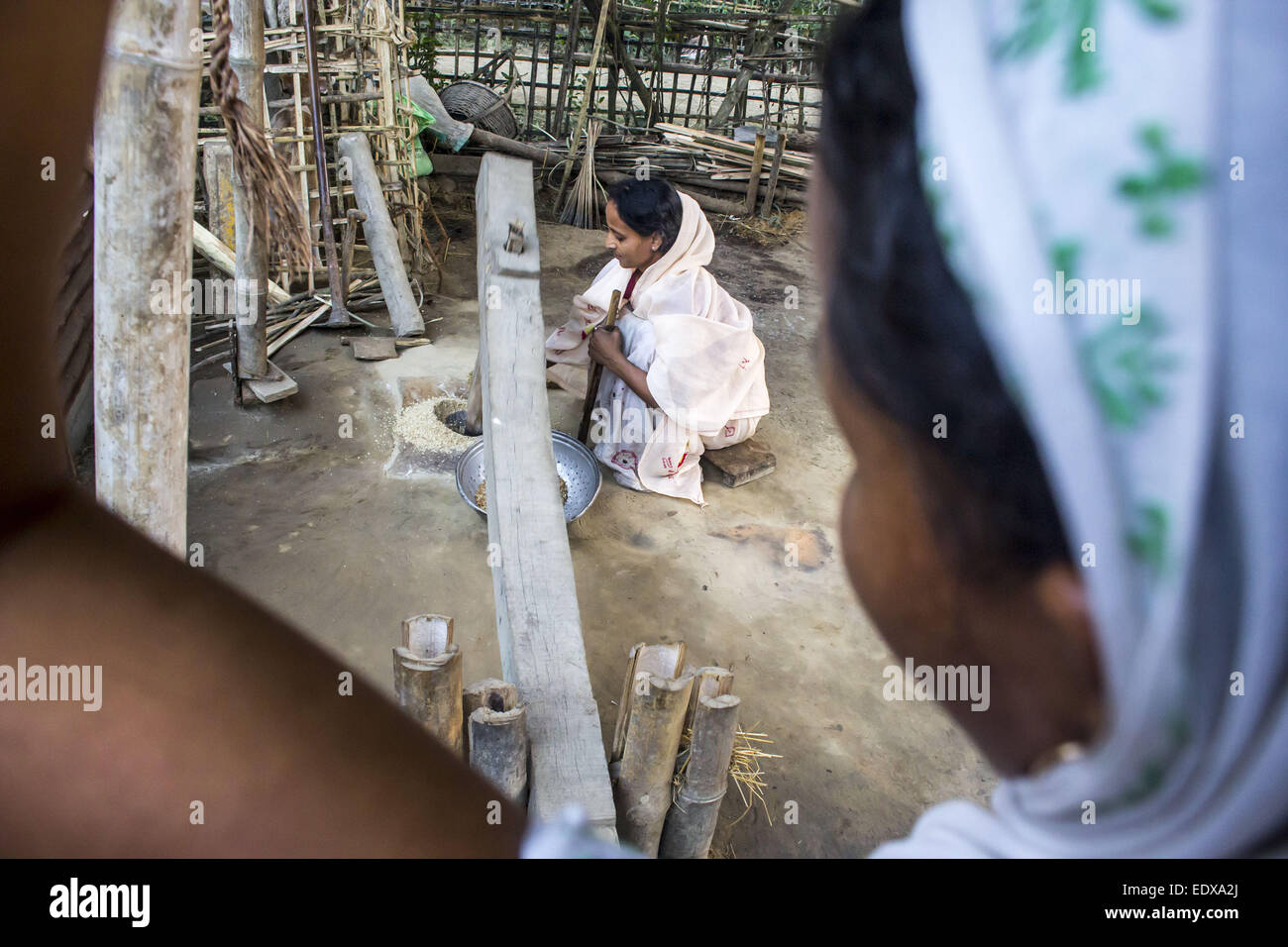 Sivasagar, Assam, India. 11th Jan, 2015. Assamese women prepare rice ...