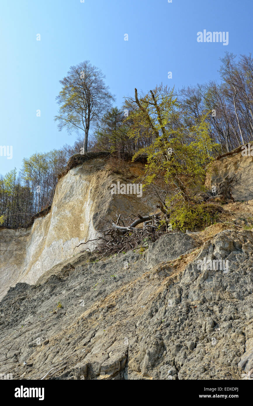 chalk rocks of Rugen island (Germany, Mecklenburg-Vorpommern Stock ...