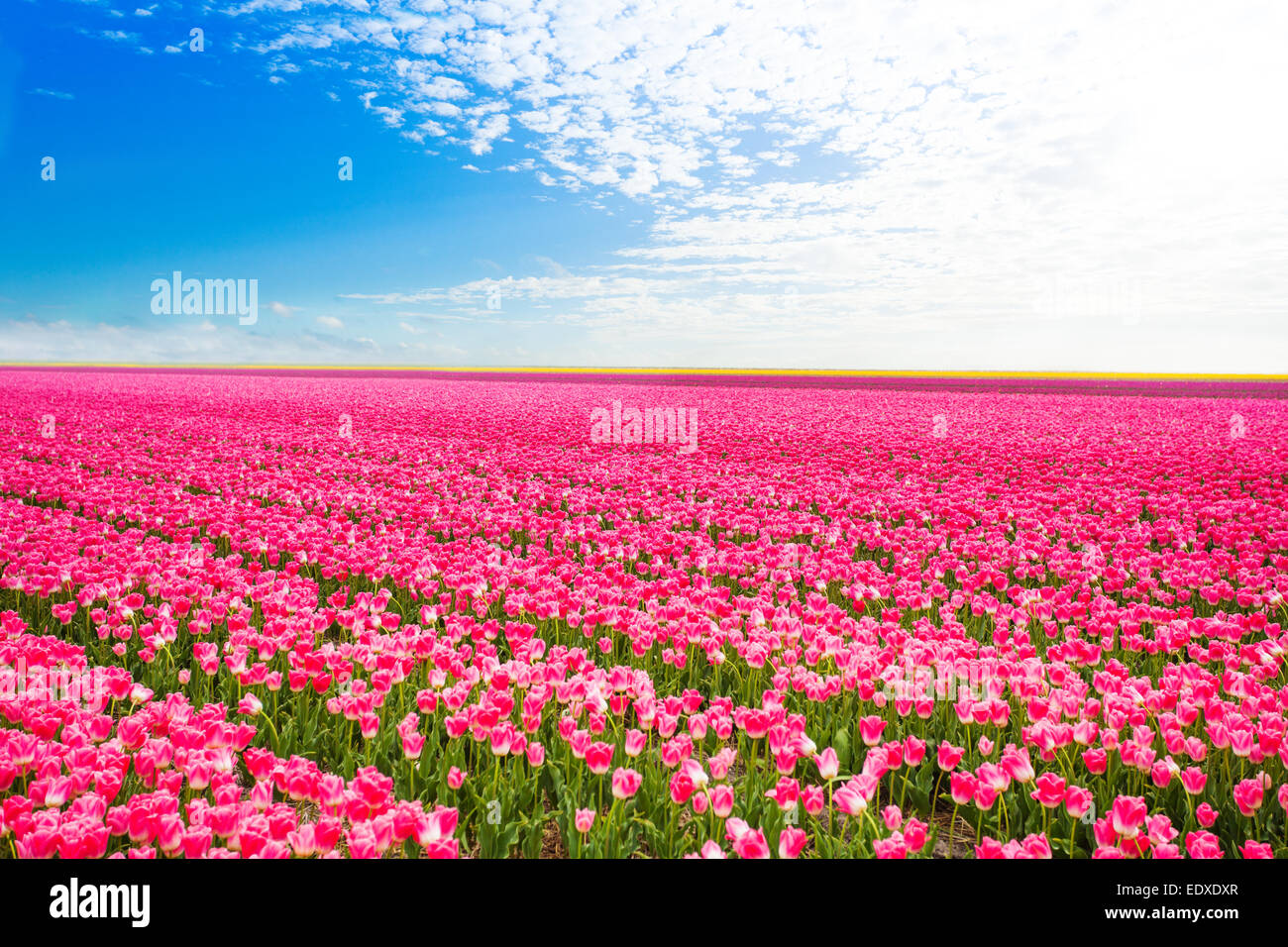 Beautiful field view hi-res stock photography and images - Alamy