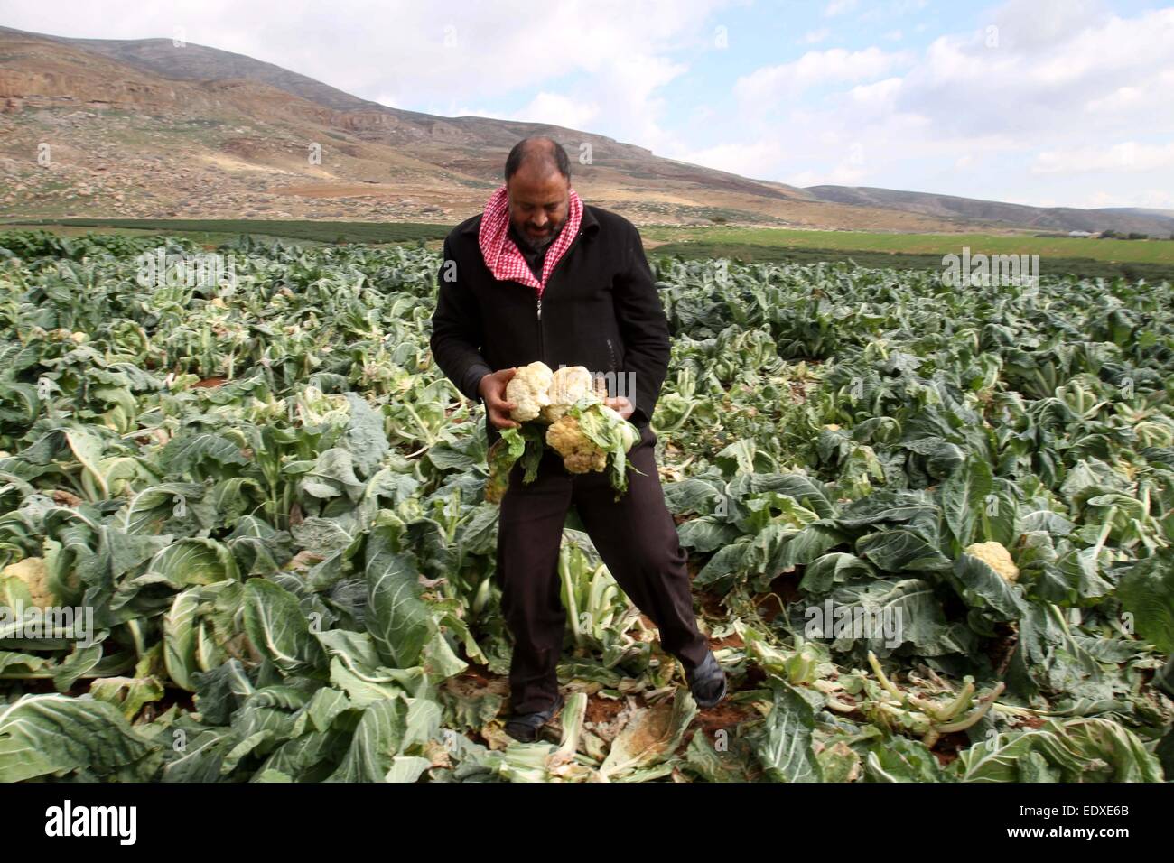 Jordan farmer hi-res stock photography and images - Alamy