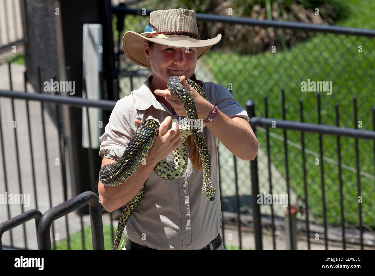 Australian zookeeper hi-res stock photography and images - Alamy