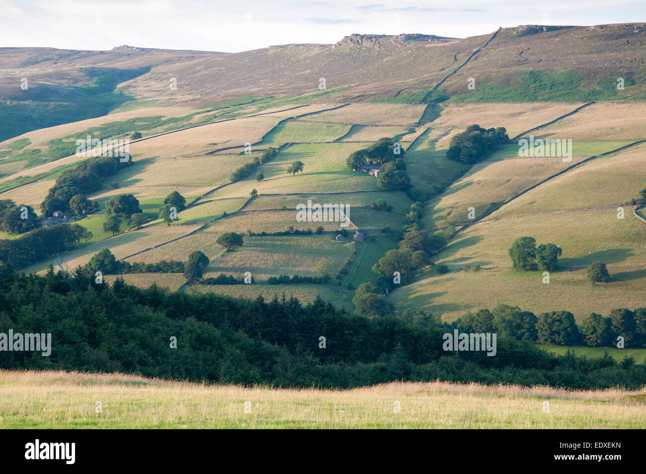 Peak District summer landscape in soft evening sunlight. Countryside ...
