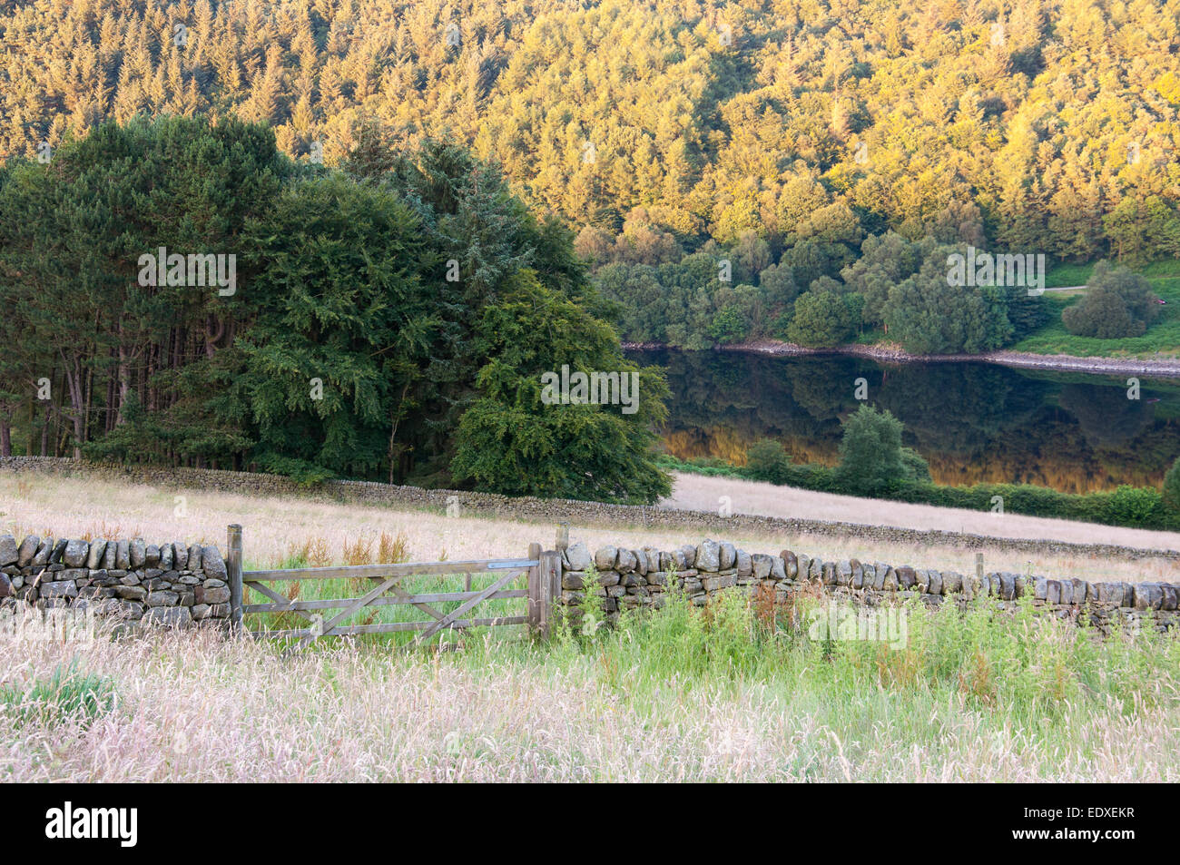 Idyllic summer landscape at Ladybower reservoir with grassy meadow and ...