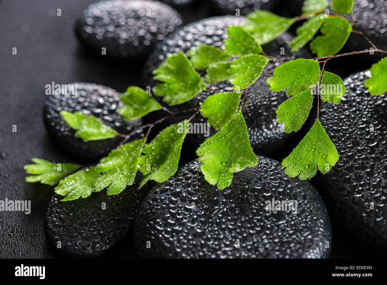 Adia hi-res stock photography and images - Alamy
