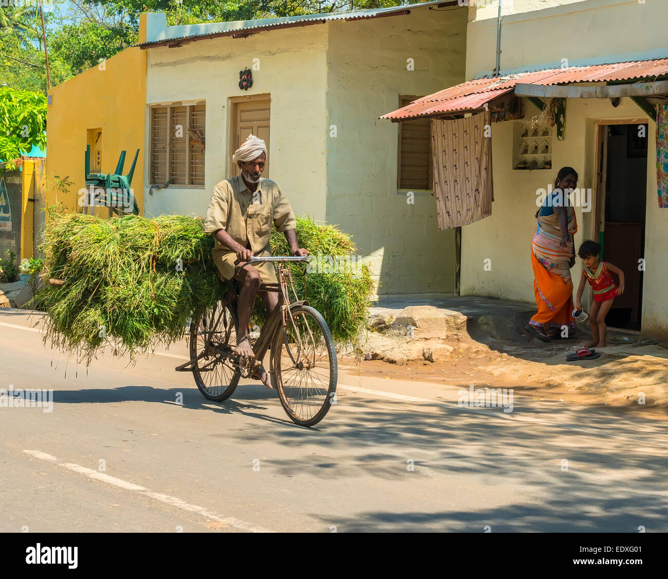 MADURAI, INDIA - FEBRUARY 17: Indian rural man rides a bicycle and ...