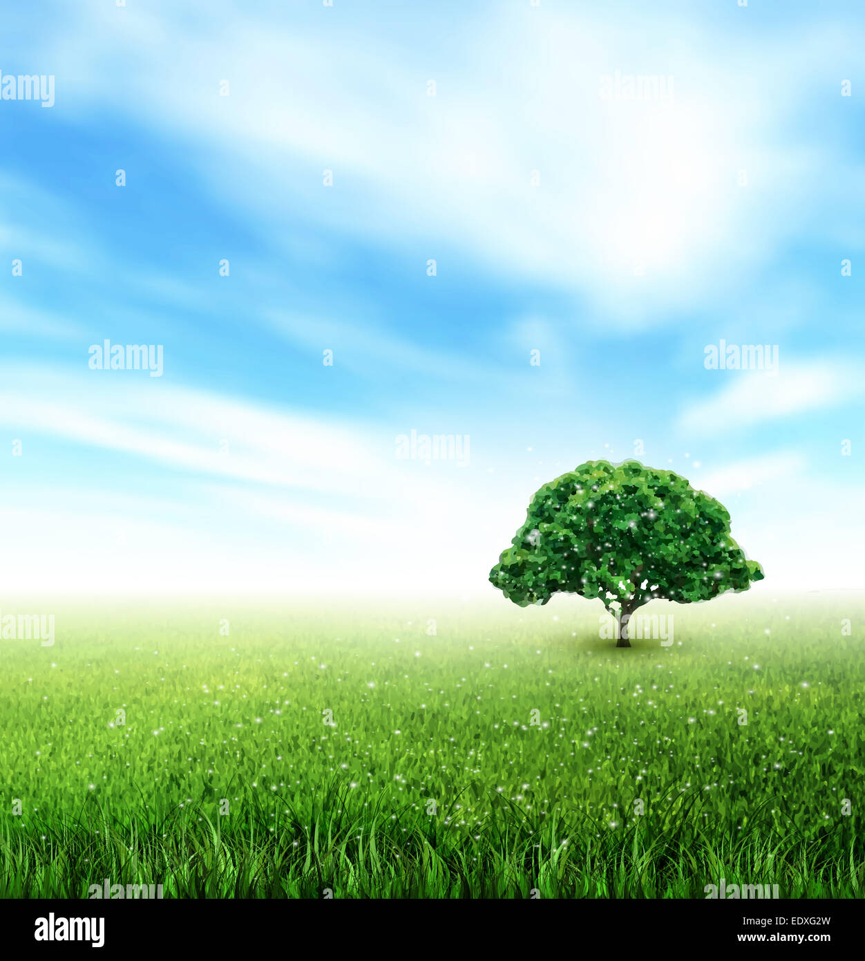 Summer Landscape With Field, Sky, Tree, Grass, Flower Stock Photo - Alamy