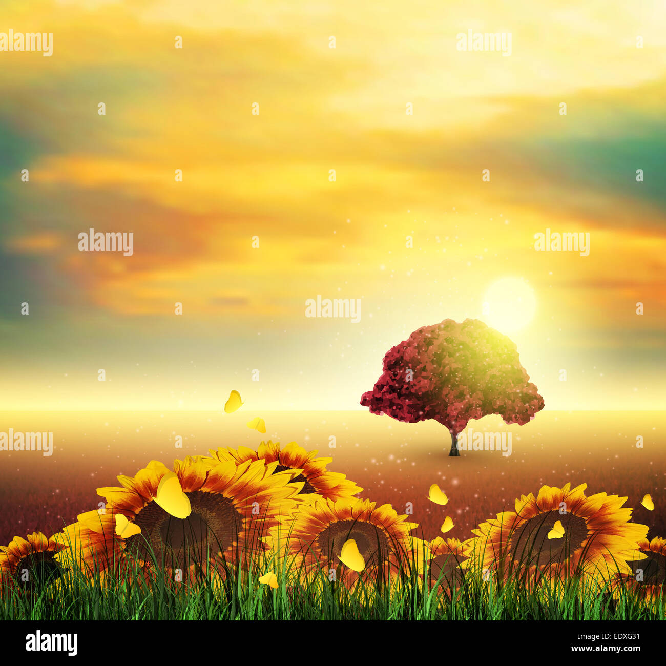 Summer Landscape With Field, Sky, Sun, Sunset, Tree, Grass, Sunflowers ...