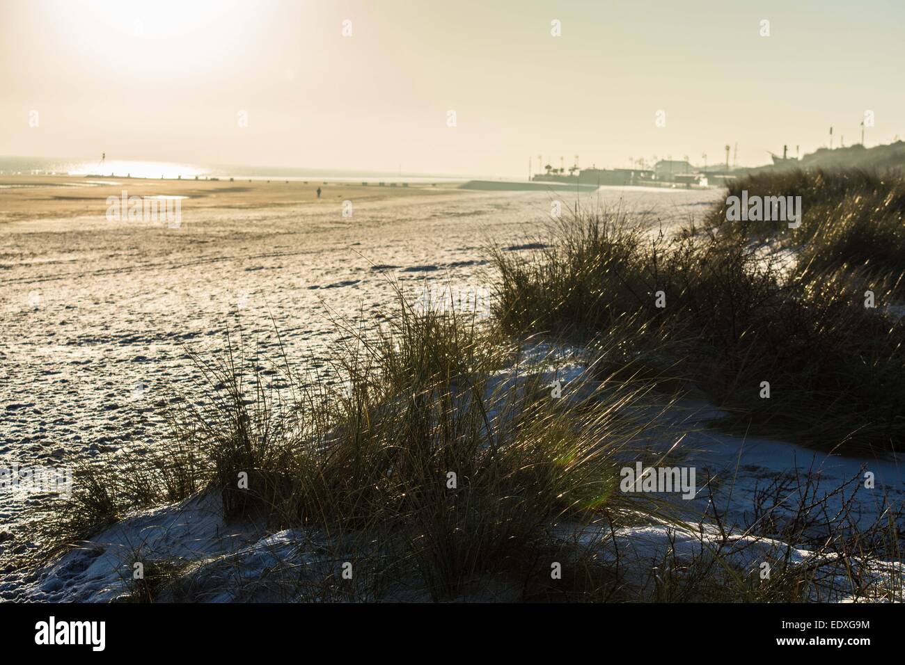 Frozen beach hi-res stock photography and images - Alamy