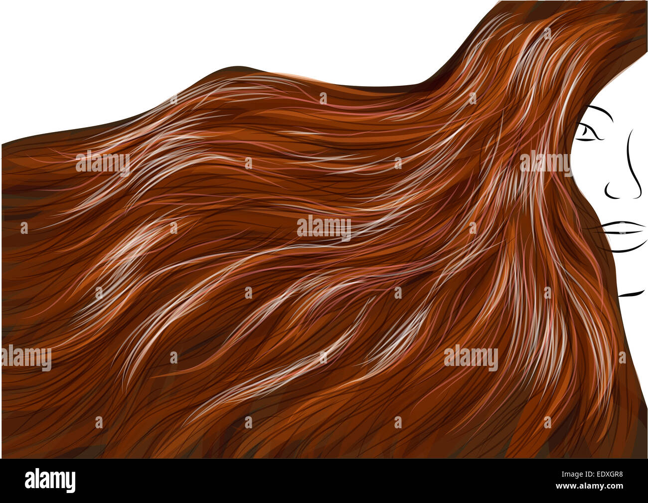 beautiful brown hair Stock Photo - Alamy