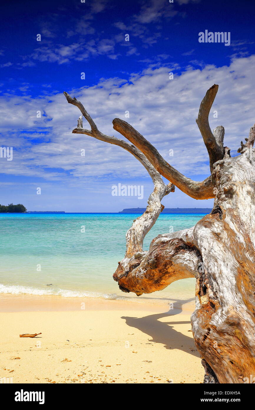 Port olry hi-res stock photography and images - Alamy