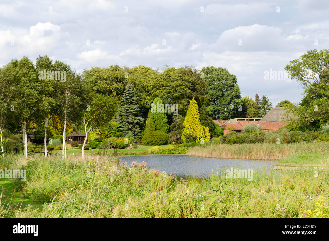 One of the small lakes that are off-shoots from the main navigable ...