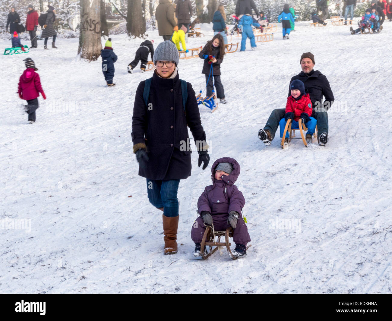 Mother and toddler, father and child have fun and toboggan and sled in ...