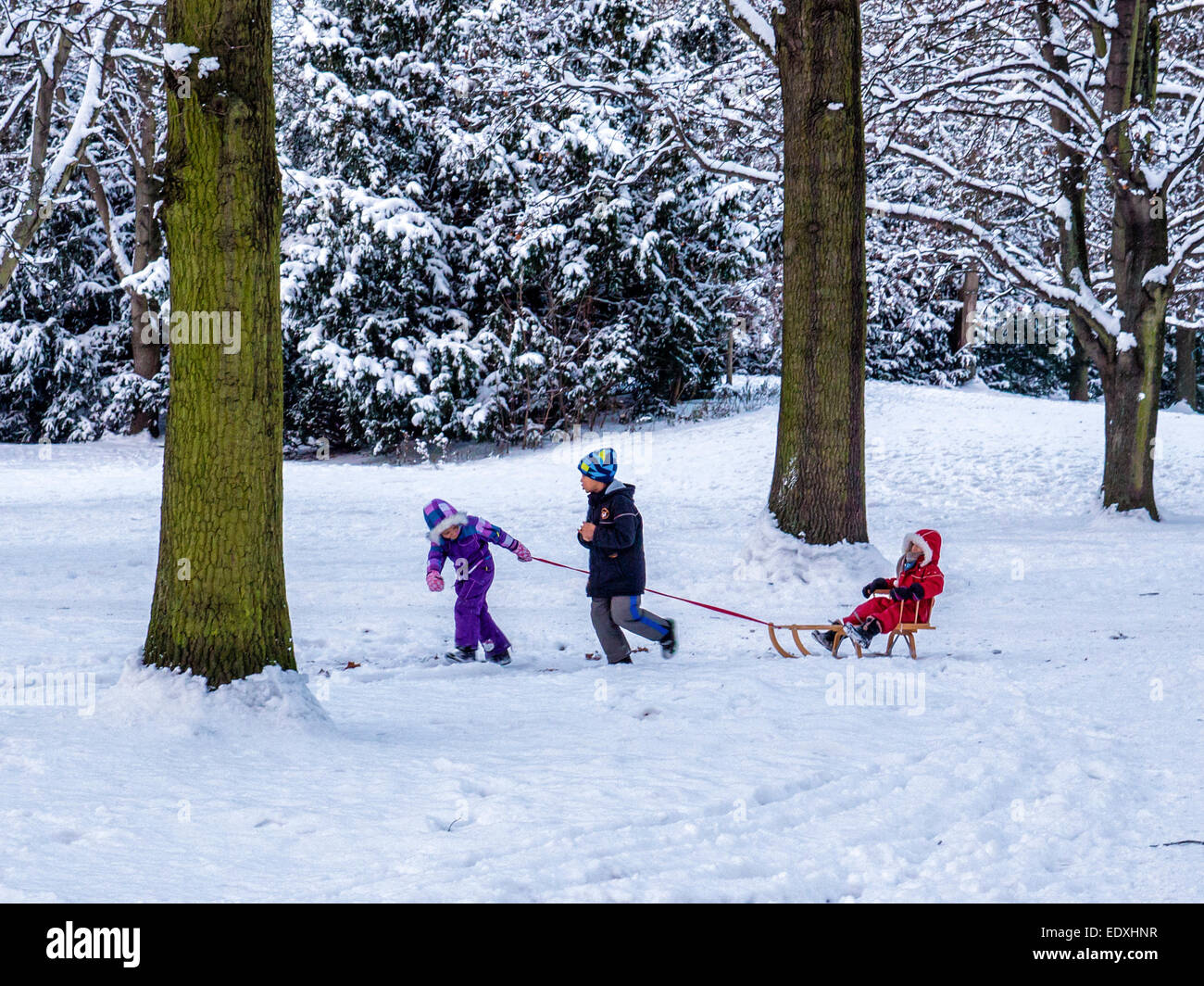 Three children pull toboggan in snow covered Public Park, Humbolthain ...