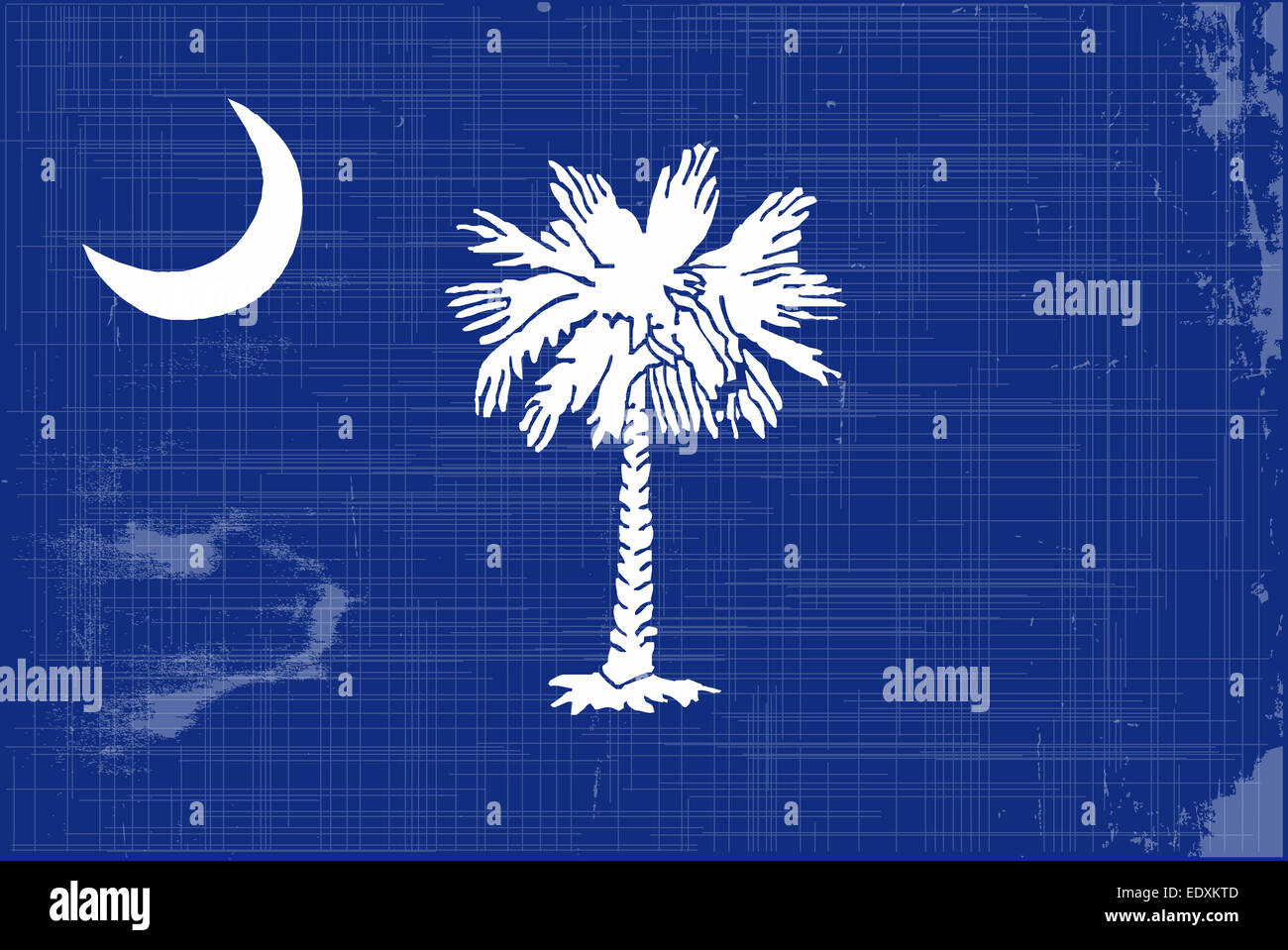 The flag of the state of South Carolina Stock Photo - Alamy