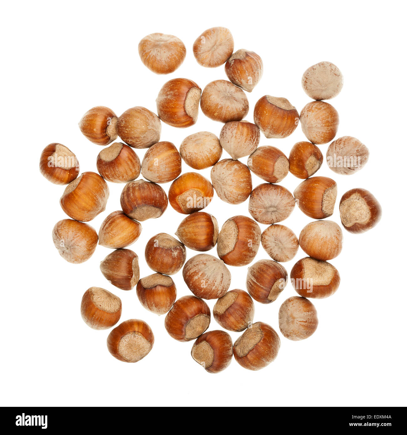 The heap of hazelnuts isolated on white background Stock Photo - Alamy