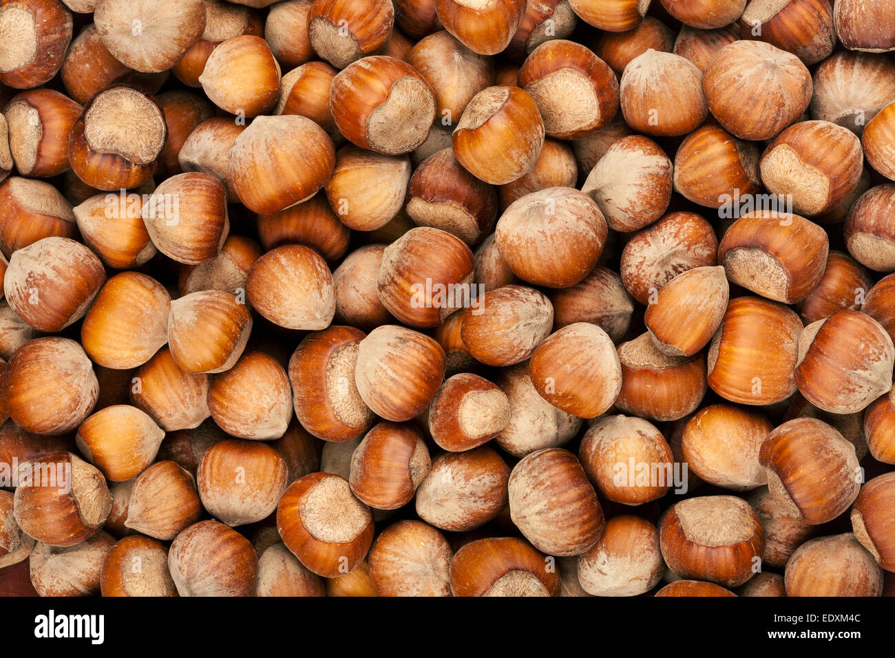 Closeup shot of hazelnut texture background Stock Photo - Alamy