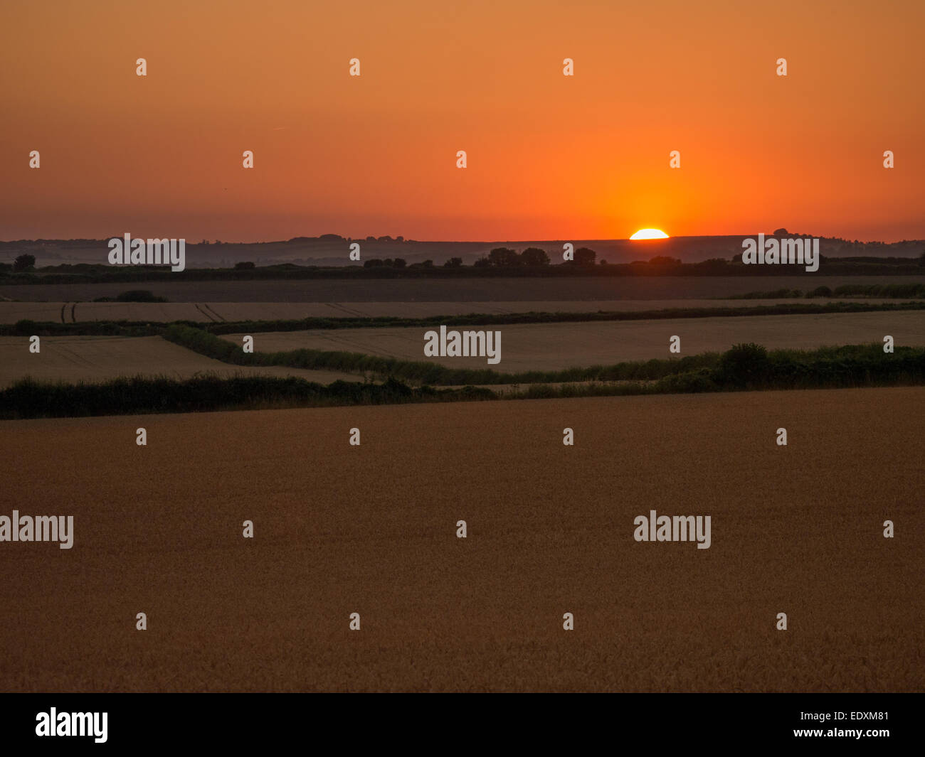 Sunset over Dorset crops Stock Photo - Alamy