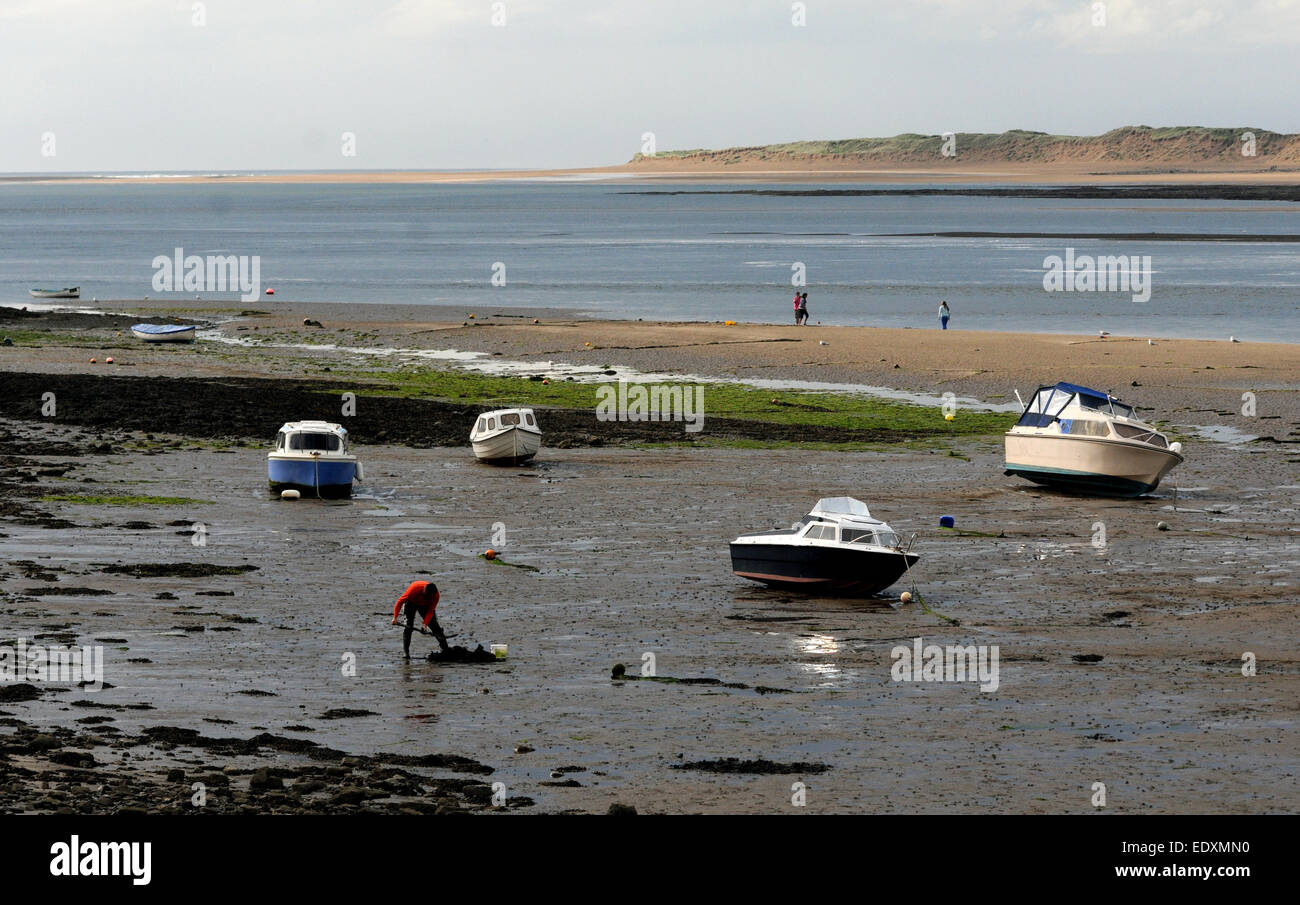The harbour at Appledore, North Devon Stock Photo - Alamy