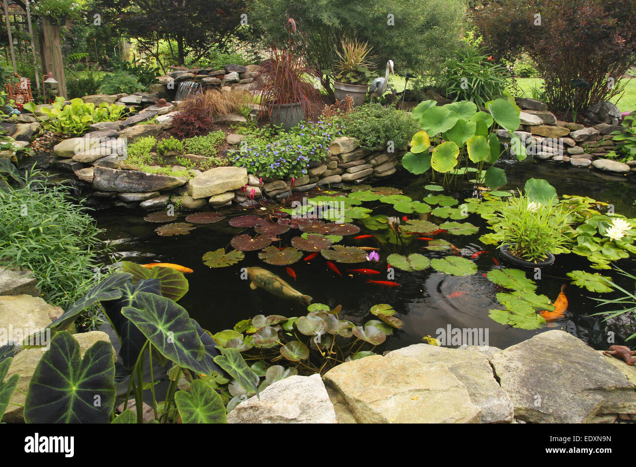 Backyard gardens hi-res stock photography and images - Alamy