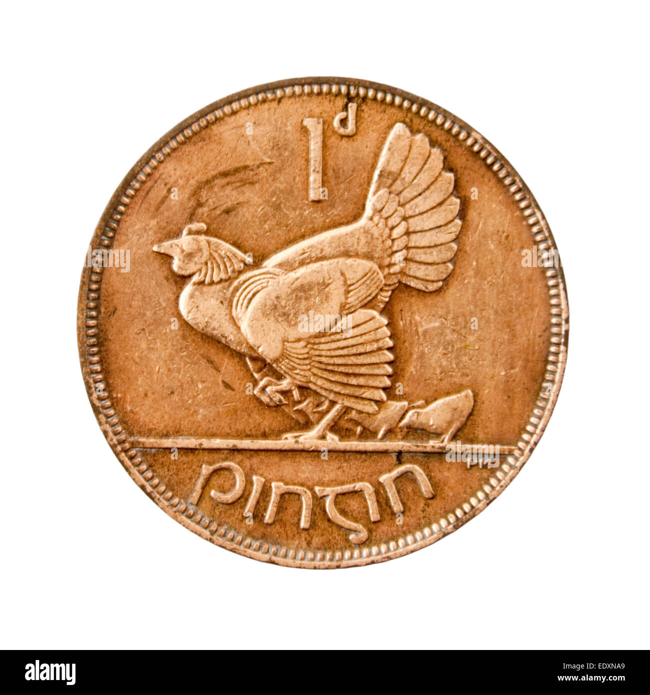 Vintage 1937 "One Penny" (Pingin) Irish coin, featuring a hen and five ...