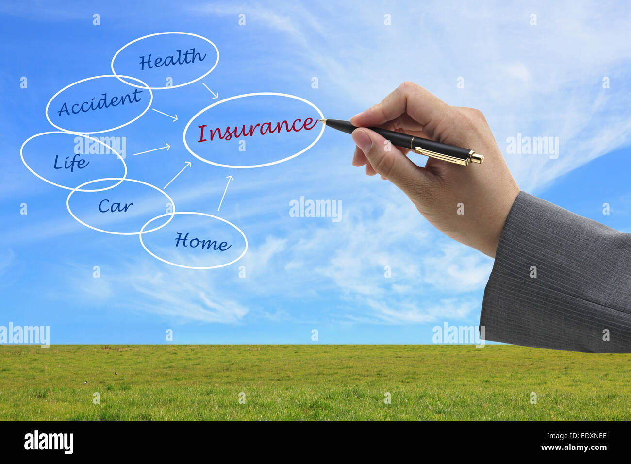 asian businessman write Insurance on virtual interface Stock Photo - Alamy