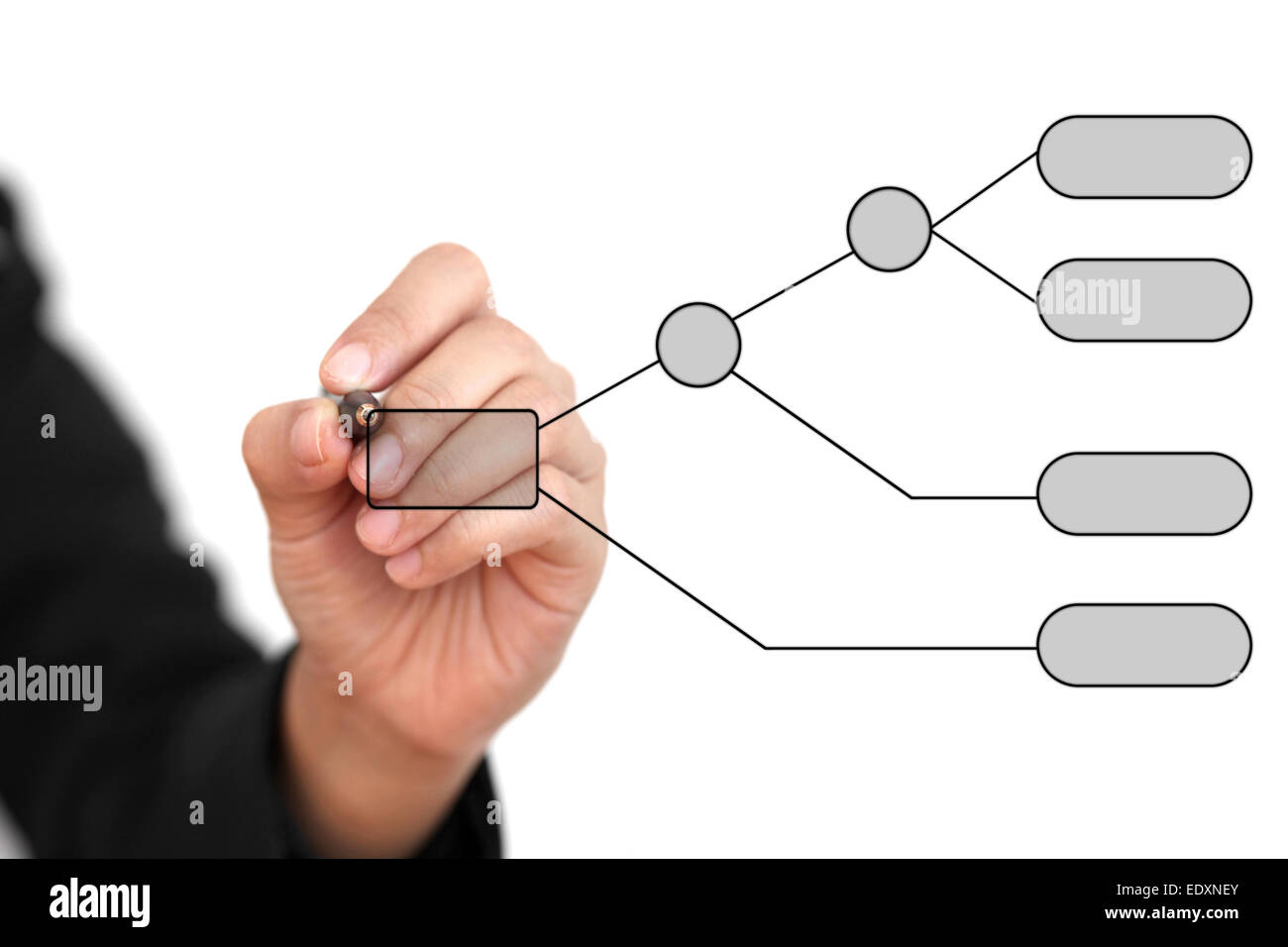 businesswoman writing blank decision tree for business analyze Stock ...