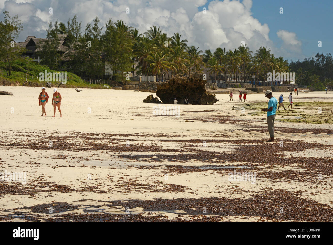 Turtle Bay at Watamu in Kenya Stock Photo - Alamy