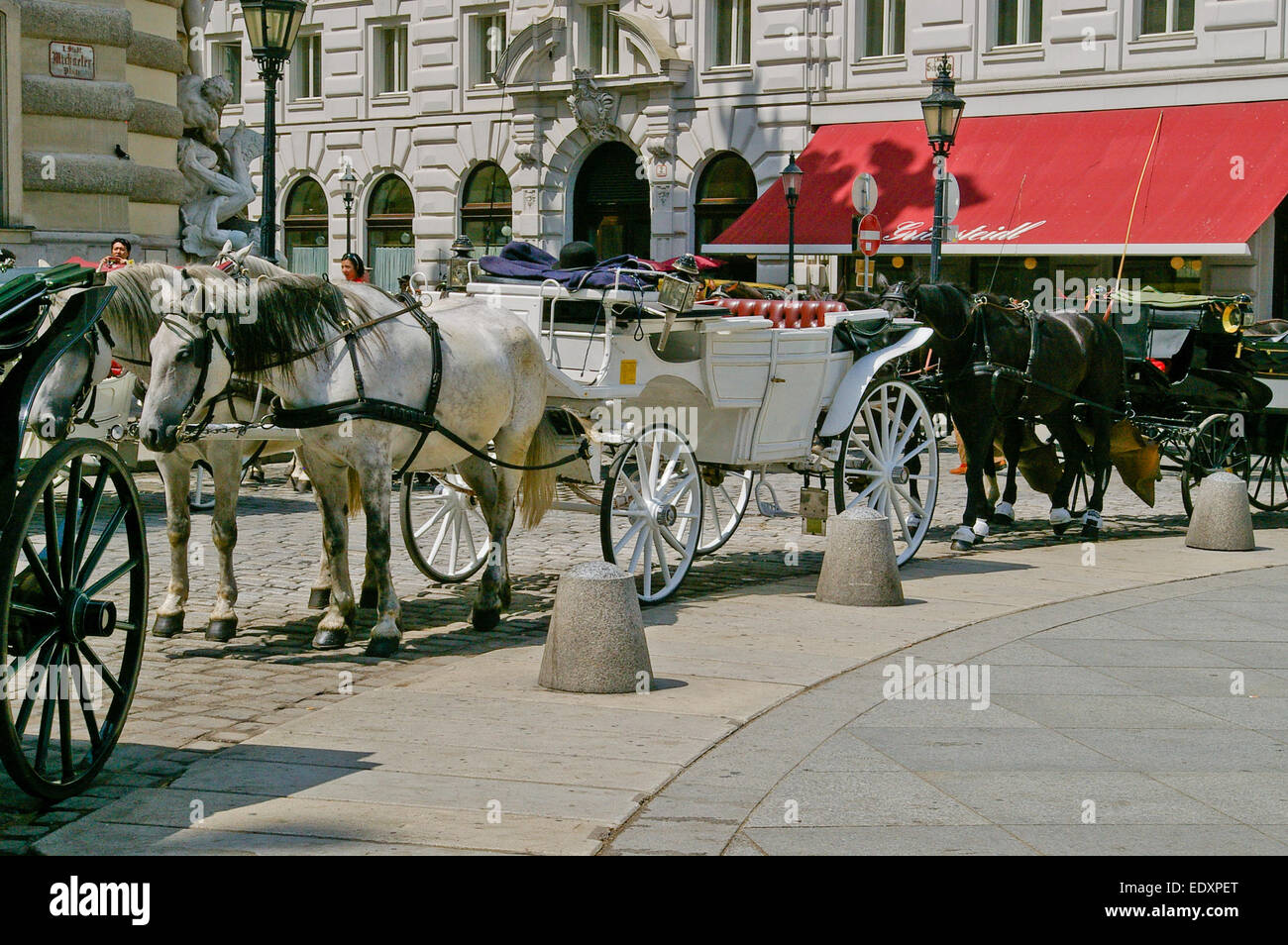 Line of traditional horse drawn carriages in Vienna, just waiting for ...
