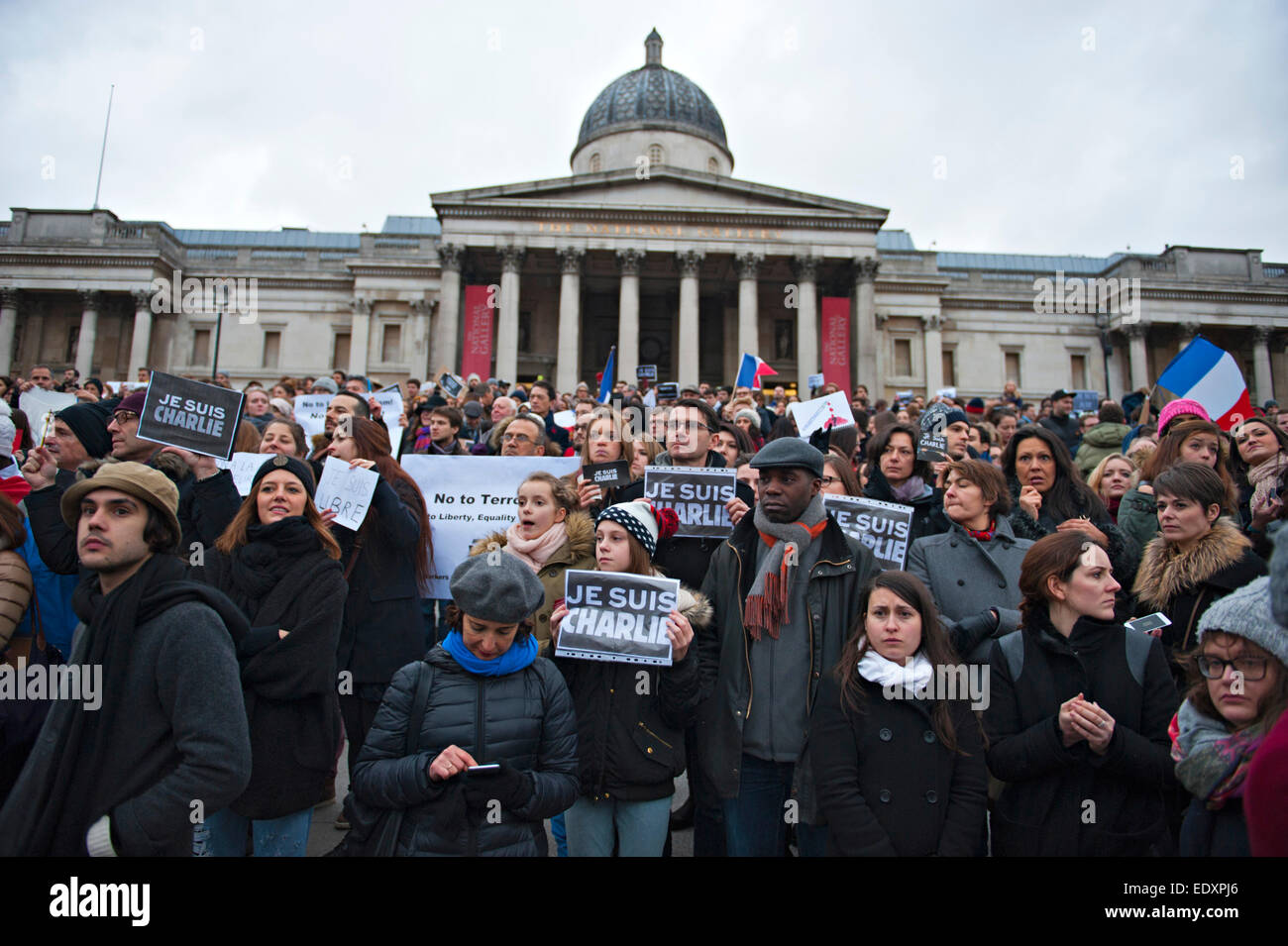 Trafalgar Square, London, UK. 11th January 2014. London rally in ...