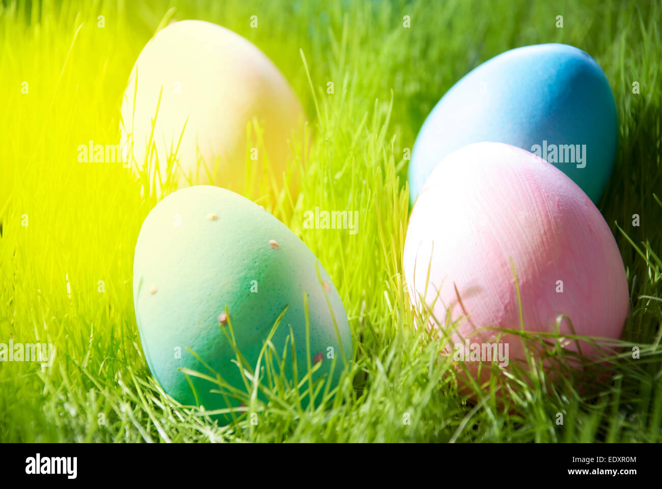 Happy four seasons hi-res stock photography and images - Alamy