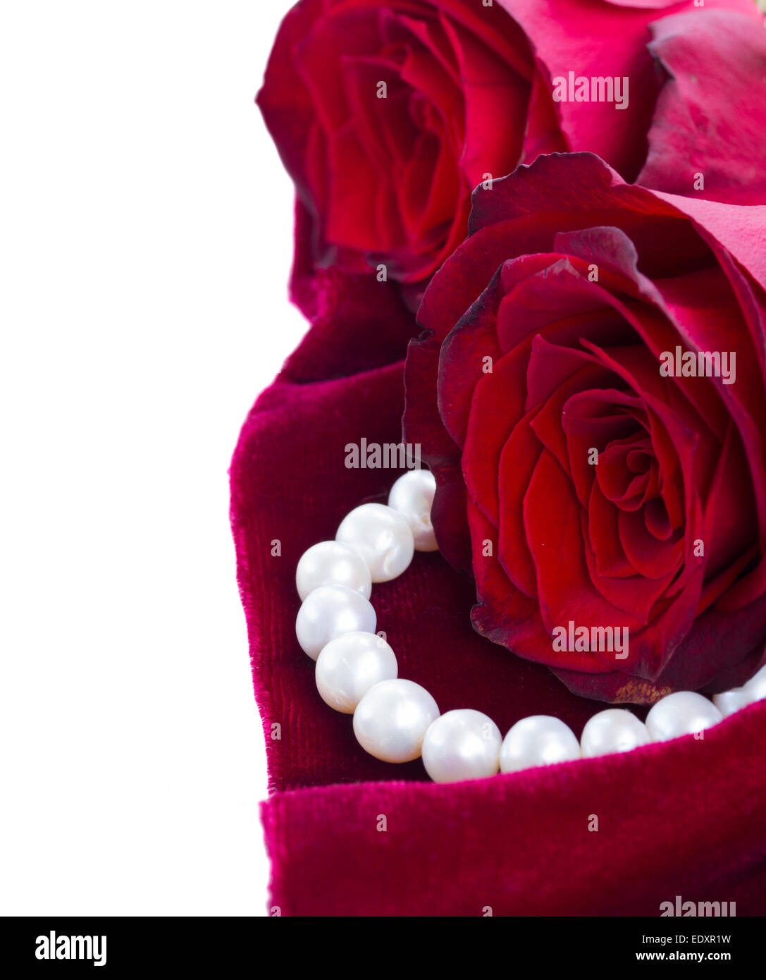 red roses on velvet Stock Photo - Alamy