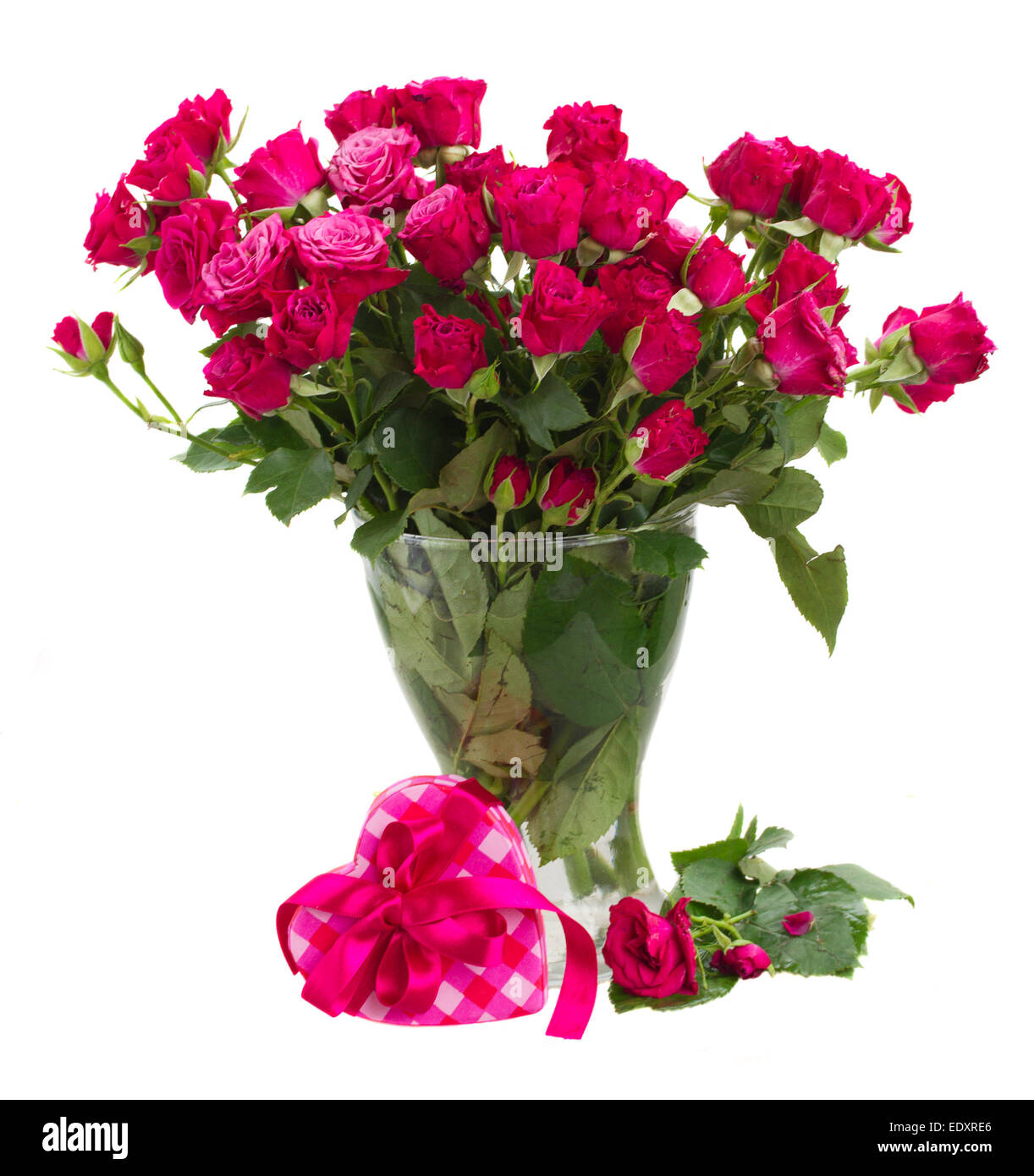 Mauve color roses Cut Out Stock Images & Pictures - Alamy