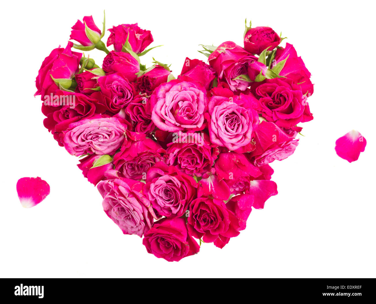 heart of roses Stock Photo - Alamy