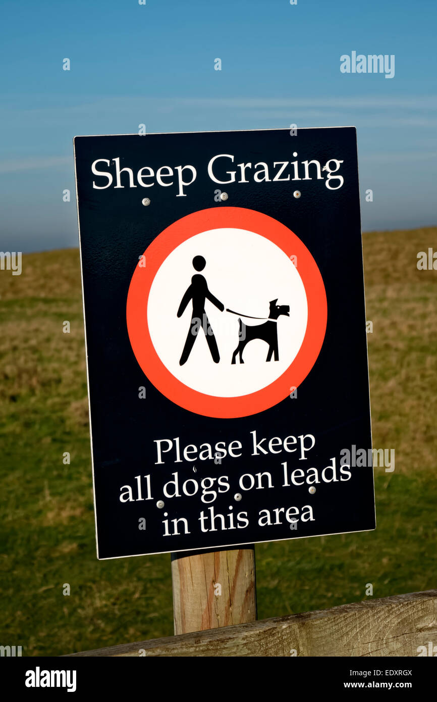 A beware, Sheep Grazing Sign for dog walkers to keep their dogs on a ...
