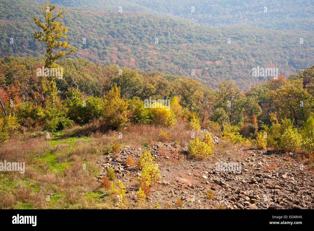Ozark mountains hi-res stock photography and images - Alamy