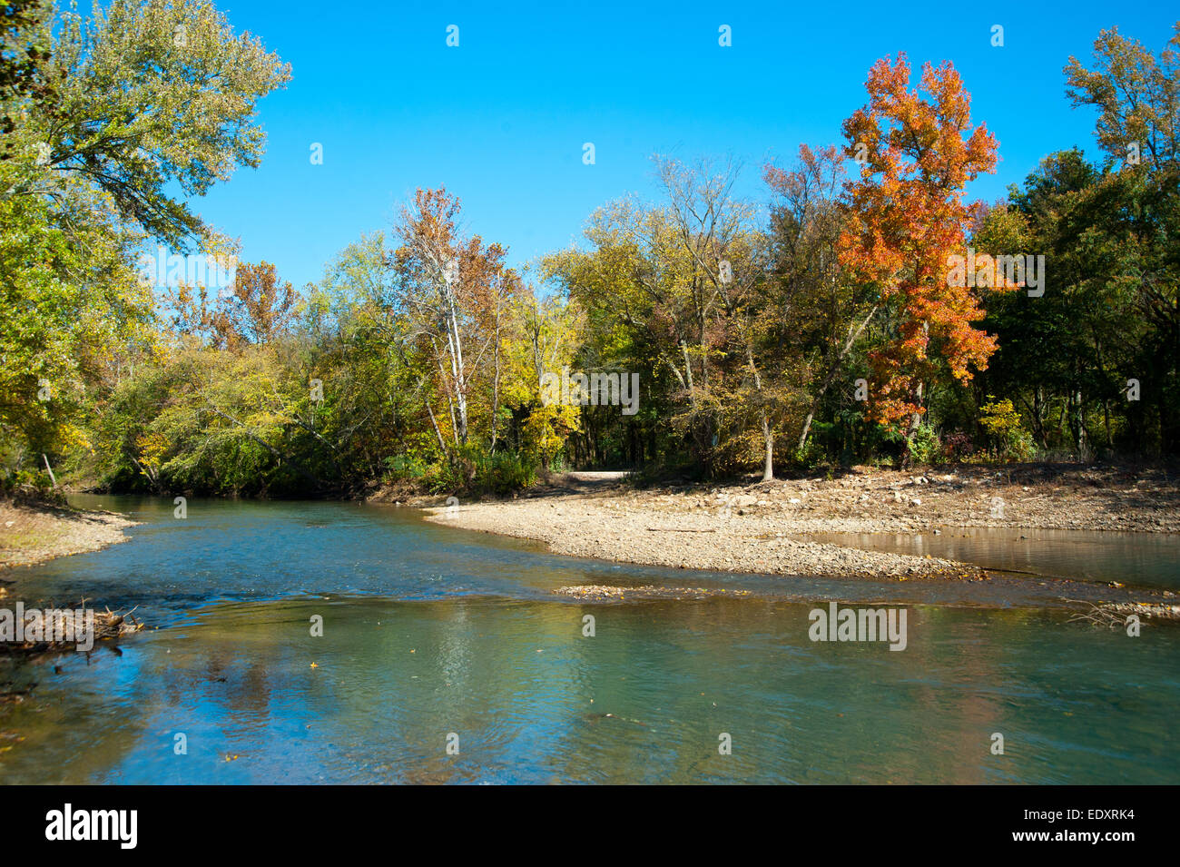 Arkansas autumn leaves hi-res stock photography and images - Alamy