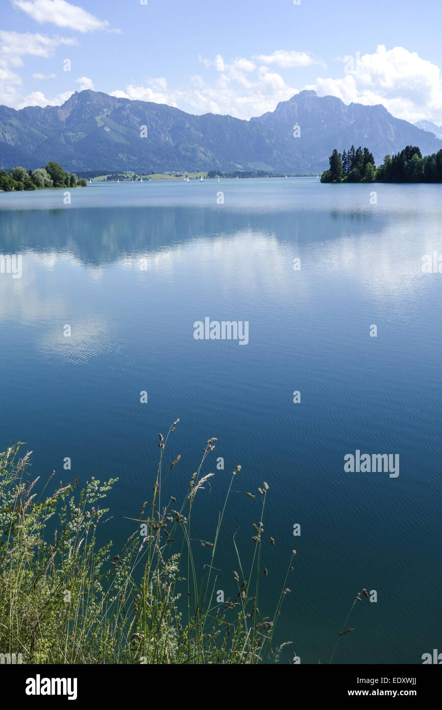 Forggensee im Ostallgäu, Königswinkel, Bayern, Deutschland, Forggensee ...