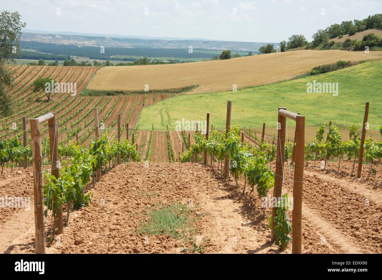 Terrazas onduladas hi-res stock photography and images - Alamy