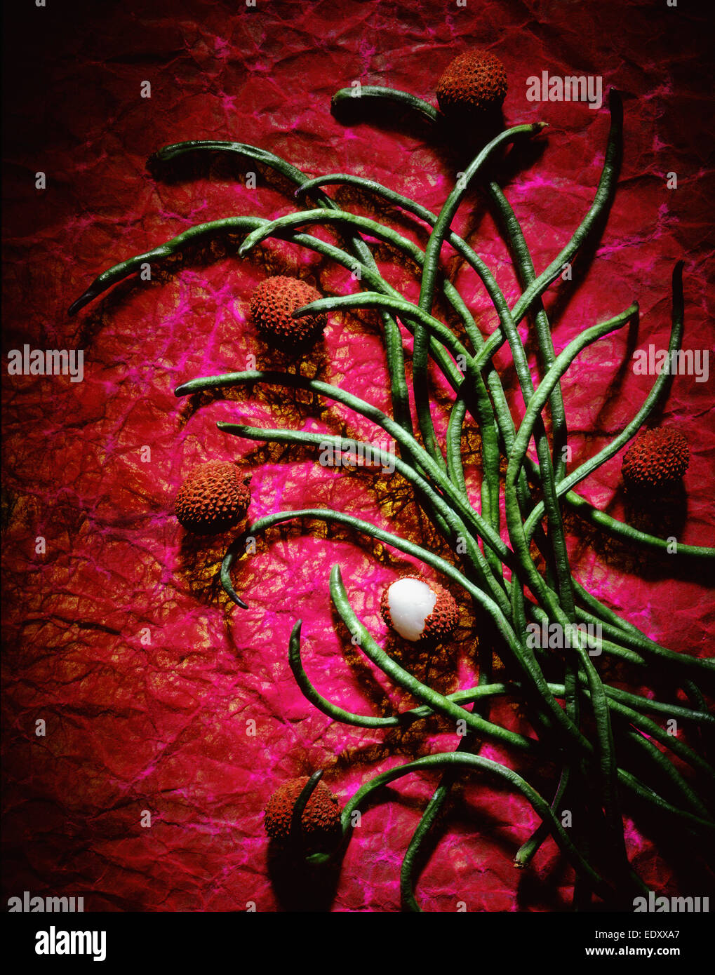 Leeche nuts and green beans Stock Photo - Alamy