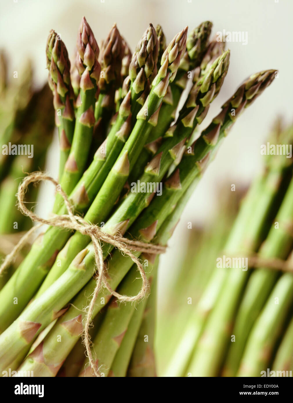 Bundles hi-res stock photography and images - Alamy