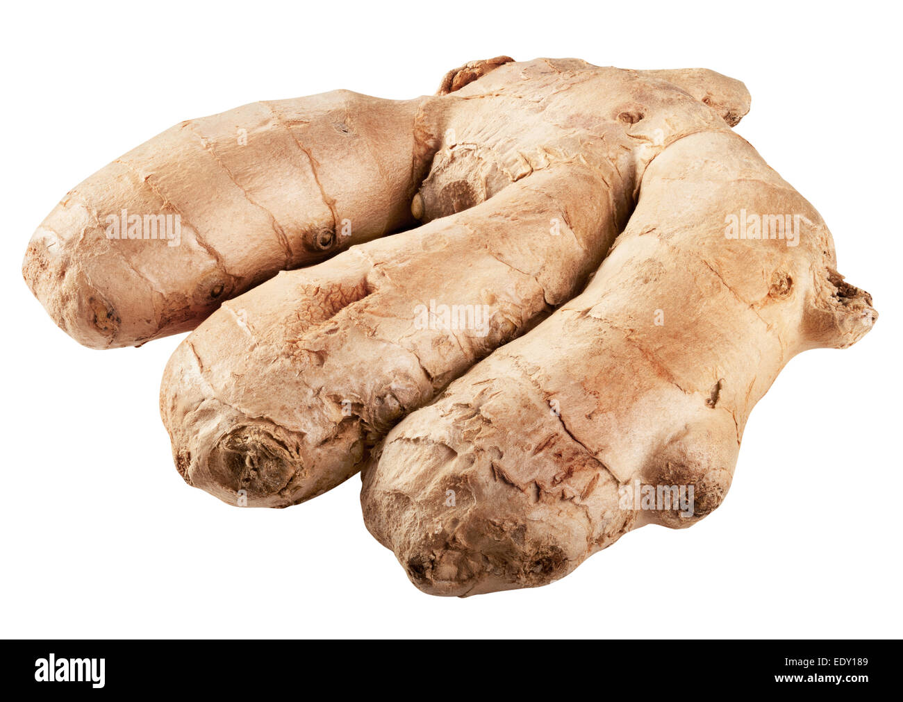 ginger isolated on white background. Clipping Path Stock Photo - Alamy