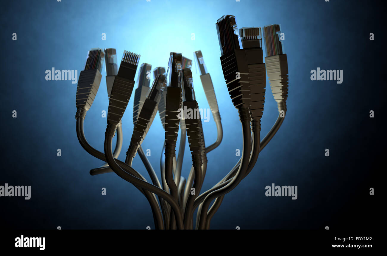 A bouquet collection of ethernet plugs with chords bundled together and ...