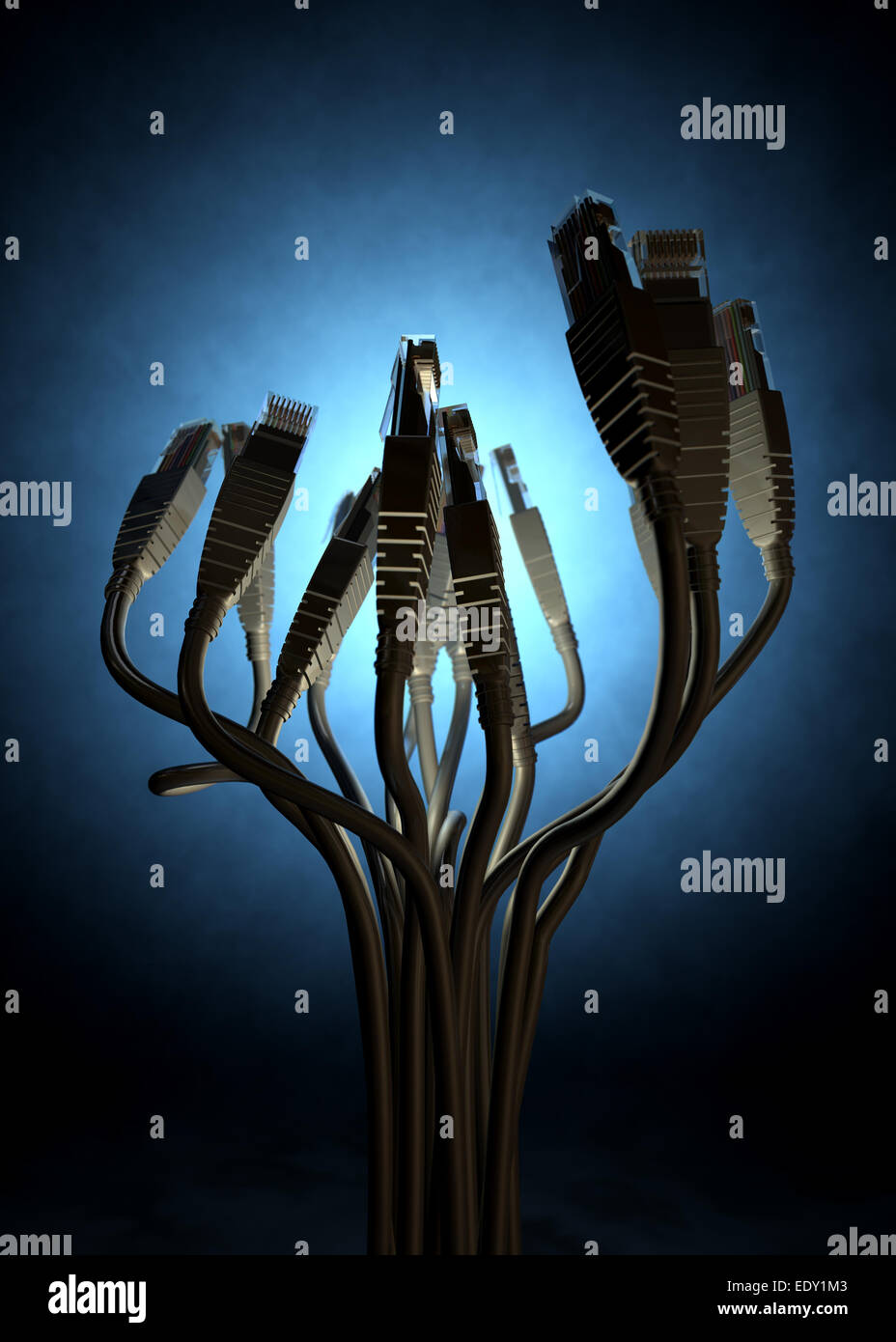 A bouquet collection of ethernet plugs with chords bundled together and ...