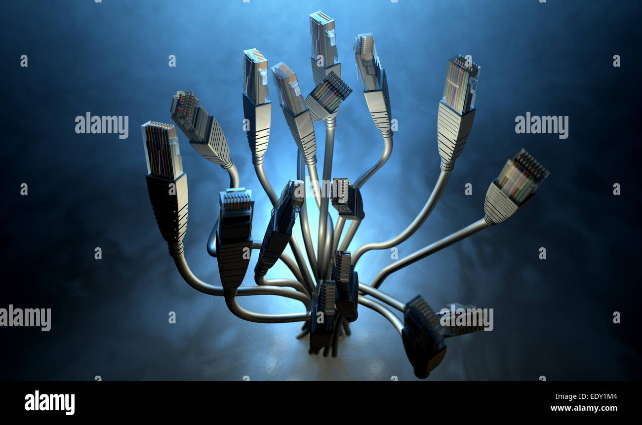 A bouquet collection of ethernet plugs with chords bundled together and ...