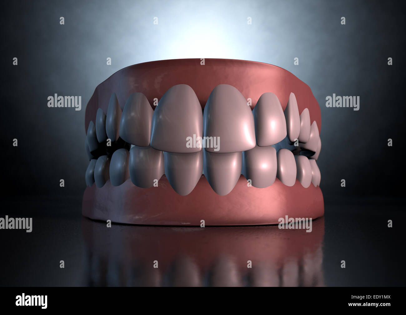 Human Canine Tooth Stock Photos & Human Canine Tooth Stock Images - Alamy