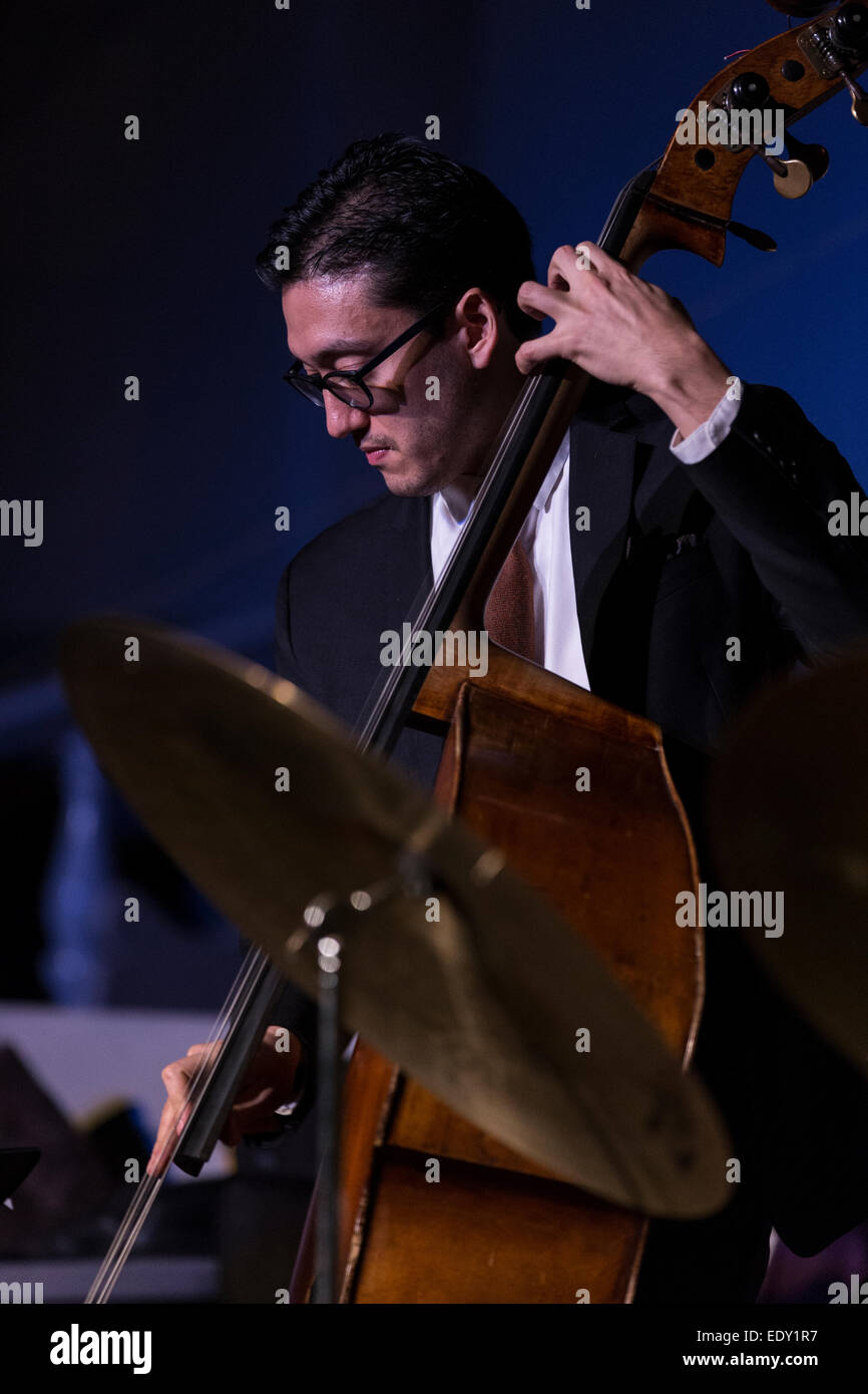 David wong bass hi-res stock photography and images - Alamy