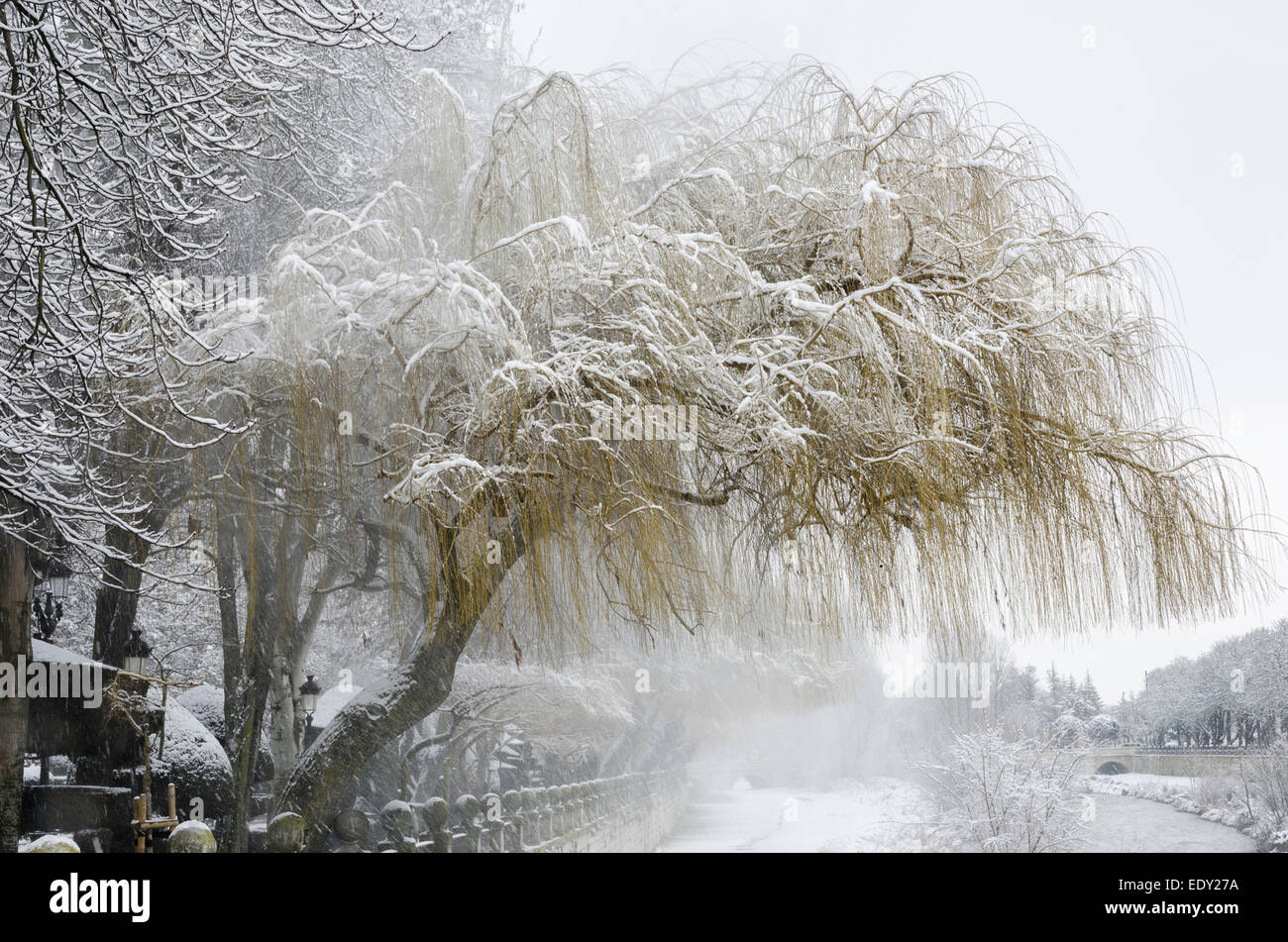 River and snowy tree Stock Photo - Alamy